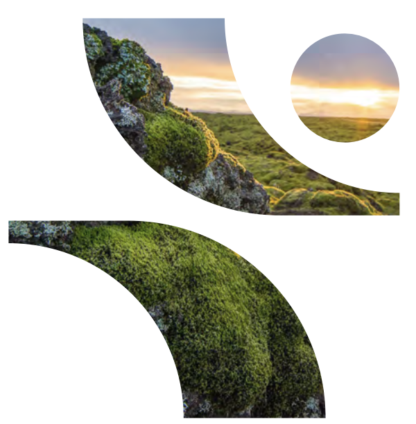 Accompagnement des particuliers - // FTC Consulting